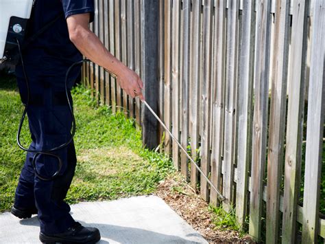 Pest Control Gold Coast Pest Treatment And Pest Inspection Services