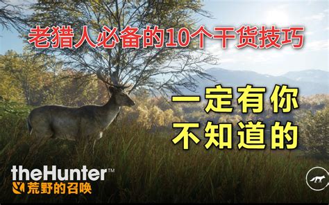 Bilibili