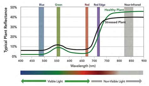 6 Reflectance Curve Of Vegetation 8 Download Scientific Diagram