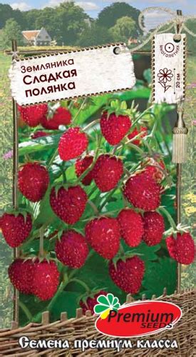 Земляника Сладкая полянка 0,04г. Премиум С