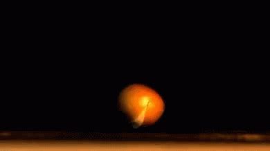 Popcorn  Popcorn Corn Discover And Share S