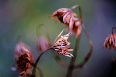 Understanding The Creative Process In Photography