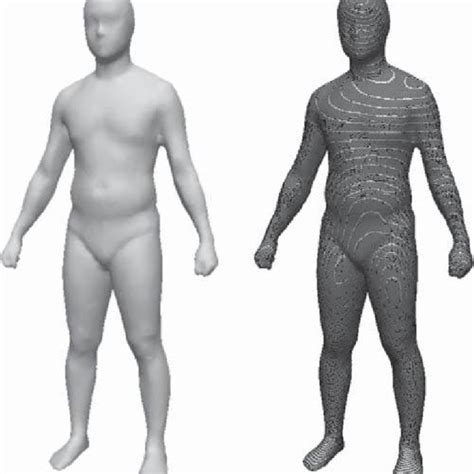 Loop Topology Of Scanned Human Body Download Scientific Diagram