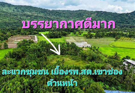 ขายด่วนมาก ที่ดินนครนายก เขาพระ บรรยากาศดีมาก วิวภูเขาใกล้อ่างเก็บน้ำห้วยปรือ 2 ไร่เศษ ใกล้