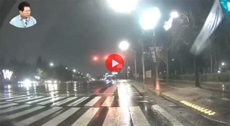 혐 무단횡단 버스 충돌 사망 사건 유머움짤이슈 에펨코리아