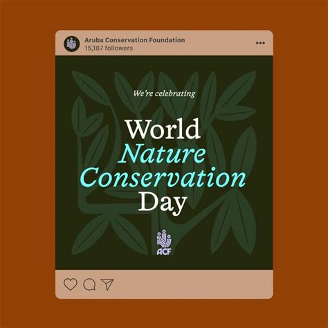 Aruba Conservation Foundation Logo And Identity