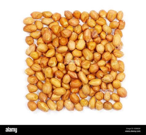 Dry And Cracked Cut Out Stock Images And Pictures Alamy