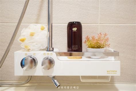 화미사 씨앗 발효 유기농샴푸 약산성으로 자극없고 깨끗하게 네이버 블로그
