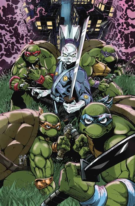 Tmnt Usagi Yojimbo Saturday Morning Adventures One Shot Idw Tmnt