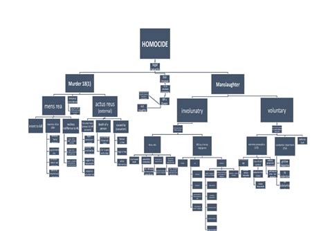 Clp Flowchart Summary Criminal Law And Procedure Homocide Legal