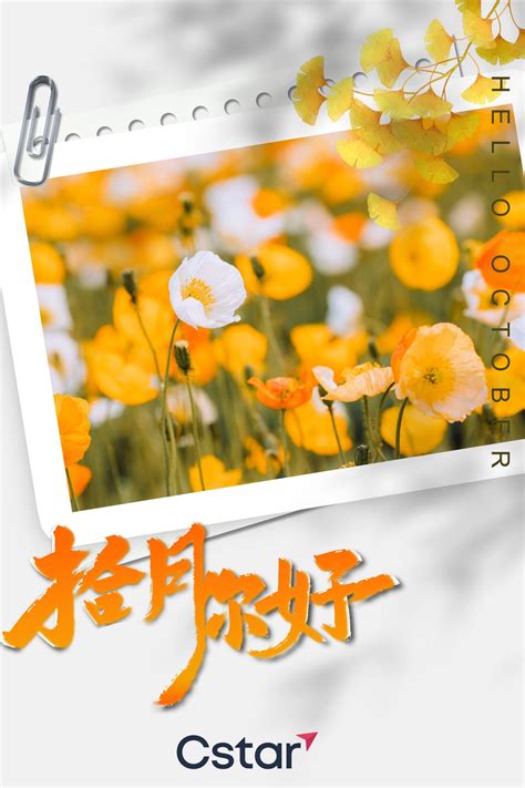 10月起，这些外贸新规正式实施！或将影响你的业务！ 知乎