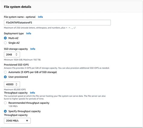 Supplemental Nfs Datastore Option In Aws