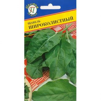 Щавель Кроваво-красный Семена Алтая (78063): купить семена почтой в ...