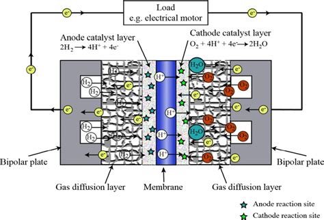 4 Pem Fuel Cell Components [7] Download Scientific Diagram