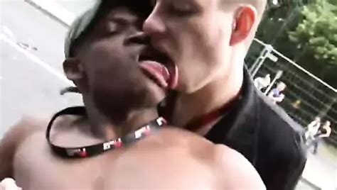 Free Gay Sucking Bbc Porn Videos Xhamster