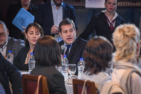 Ley Bases El Senado Posterga El Dictamen Y El Gobierno Busca Impedir