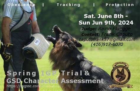 2024 Igp Club Trial And Gsd Character Assessment Ssgssc
