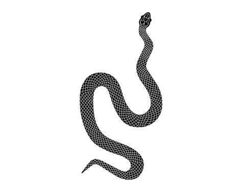 Snake Svg Python Svg Reptile Svg Cut File Snake Cricut Svg Silhouette Svg Hand Drawn