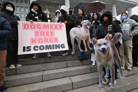 South Korea Parliament Passes Bill Banning Dog Meat Trade Monitor