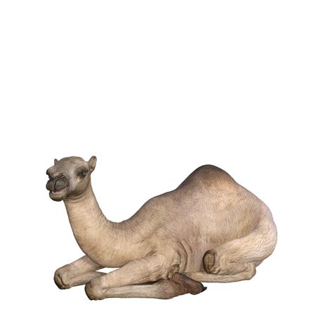 3d Render Camel Model Illustration 11382203 Png