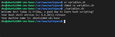 Bash Scripting Part 1 Dezlearn Learn It Easy