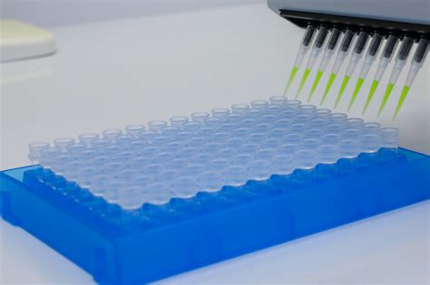 About Molecular Lab Partners