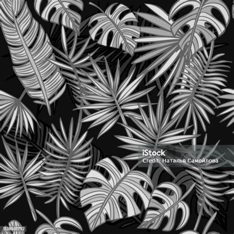 棕櫚葉圖案6向量圖形及更多夏天圖片 夏天 大自然 式樣 Istock