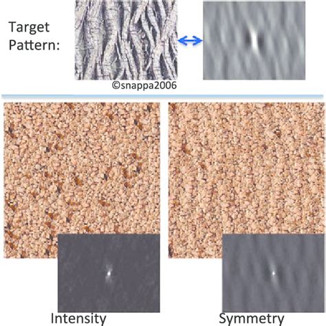 Comparison Of Symmetry Transfer To A Previous Method Based On Intensity Download Scientific