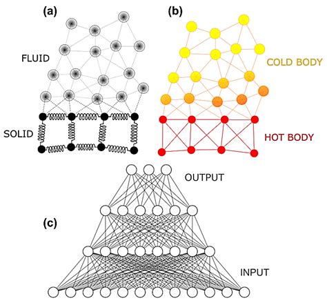 Deep Multiphysics And Particle Neuron Duality A Computational Framework Coupling Discrete