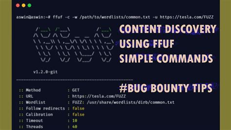 How To Use Ffuf For Bug Bounty Hunting Content Discovery Parameter