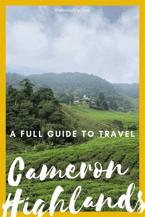 A Full Guide To Travel Cameron Highlands Malaysia Travel Blog Blog