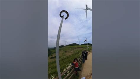 원주할리할리데이비슨육백마지기 정상로드글라이드스트리트글라이드로우라이더st울트라클래식소프테일디럭스철마멤버 Youtube