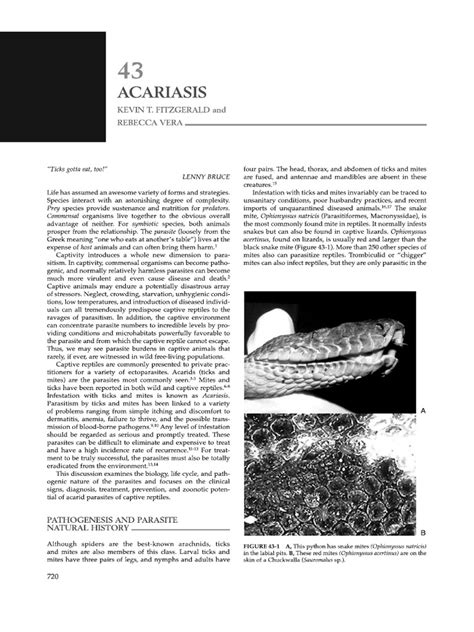 Ectoparasitos Dos Répteis Pdf