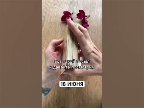 Карта дня #18июня Подсказки на каждый день и на все случаи жизни🤗 ...