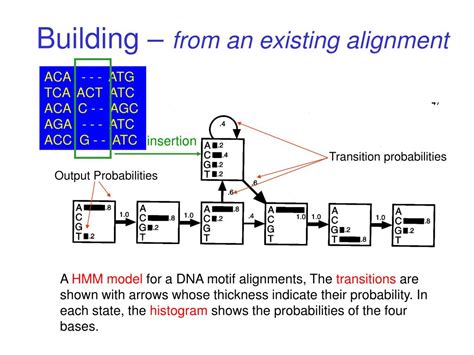 ppt hidden markov models in computational biology powerpoint