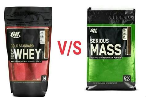 Whey Protein Or Mass Gainers Making The Right Choice