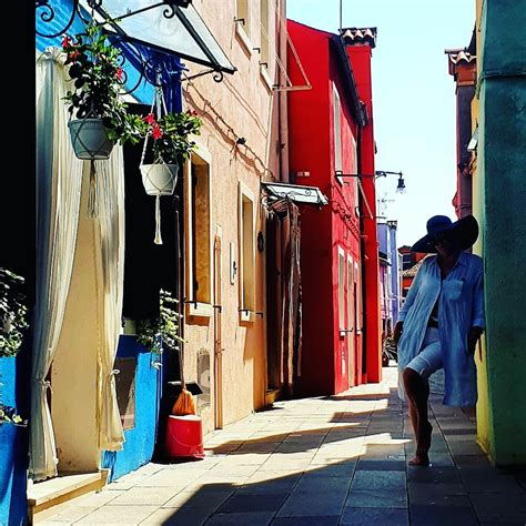 Virtual Insect Youtube