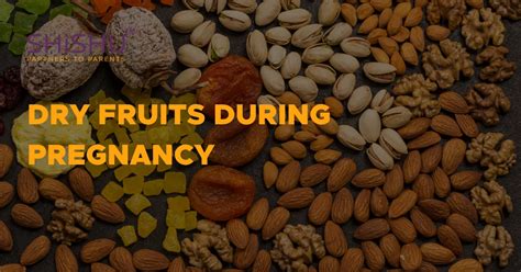Dry Fruits During Pregnancy Myshishu