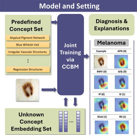 논문 리뷰 Concept Complement Bottleneck Model For Interpretable Medical Image Diagnosis