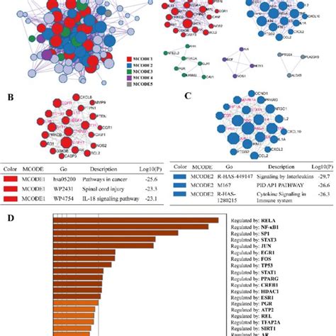 Mcode Cluster Analysis And Protein Function Module A Mcode Cluster Download Scientific