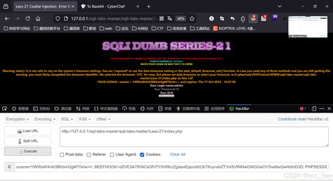 Sql Labs靶场第二十一关测试报告sqli Labs第21关 Csdn博客 Sql Labs靶场第二十一关测试报告sqli Labs第21关 Csdn博客