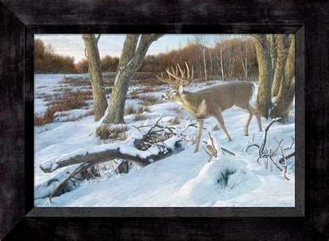 Last Light—whitetail Deer Framed Limited Edition Canvas 2225h X 30