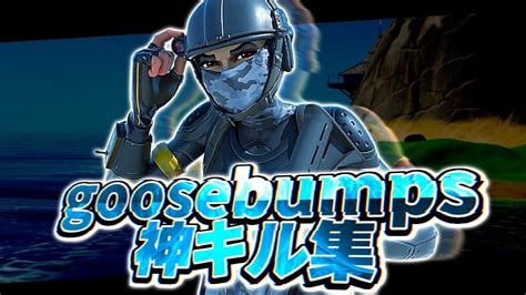 【gosebumps】18歳老害競技勢のかっこいいキル集！ フォートナイトキル集 Youtube