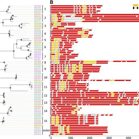 The 34 Most Frequent Cis Elements In The Myb Promoters The Color Scale Download Scientific