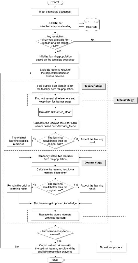 Figure 2 From Effective Natural Pcr Rflp Primer Design For Snp