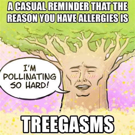 49 Funny Allergy Memes Uniting Laughter And Sniffles