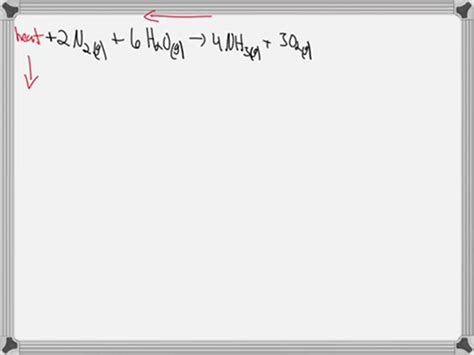 Solved The Following Reaction Is At Equilibrium 2 N2g 6 H2og 4