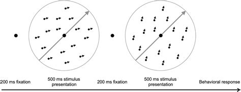 A Schematic Of The Motion Direction Discrimination Task The Gray