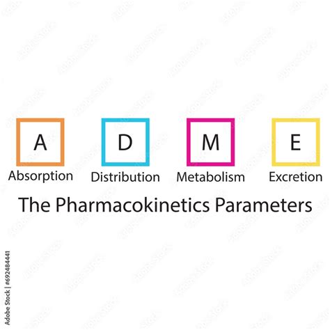 Diagram Showing Pharmacokinetic Parameters ADME Absorption