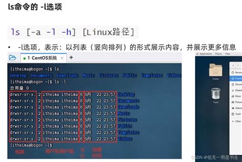 linux基础学习之目录结构、ls命令 linux ls 目录树 csdn博客